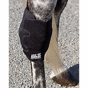Ice Horse Single Hock Wraps for Equine Therapy - Comes with 3 Ice Packs