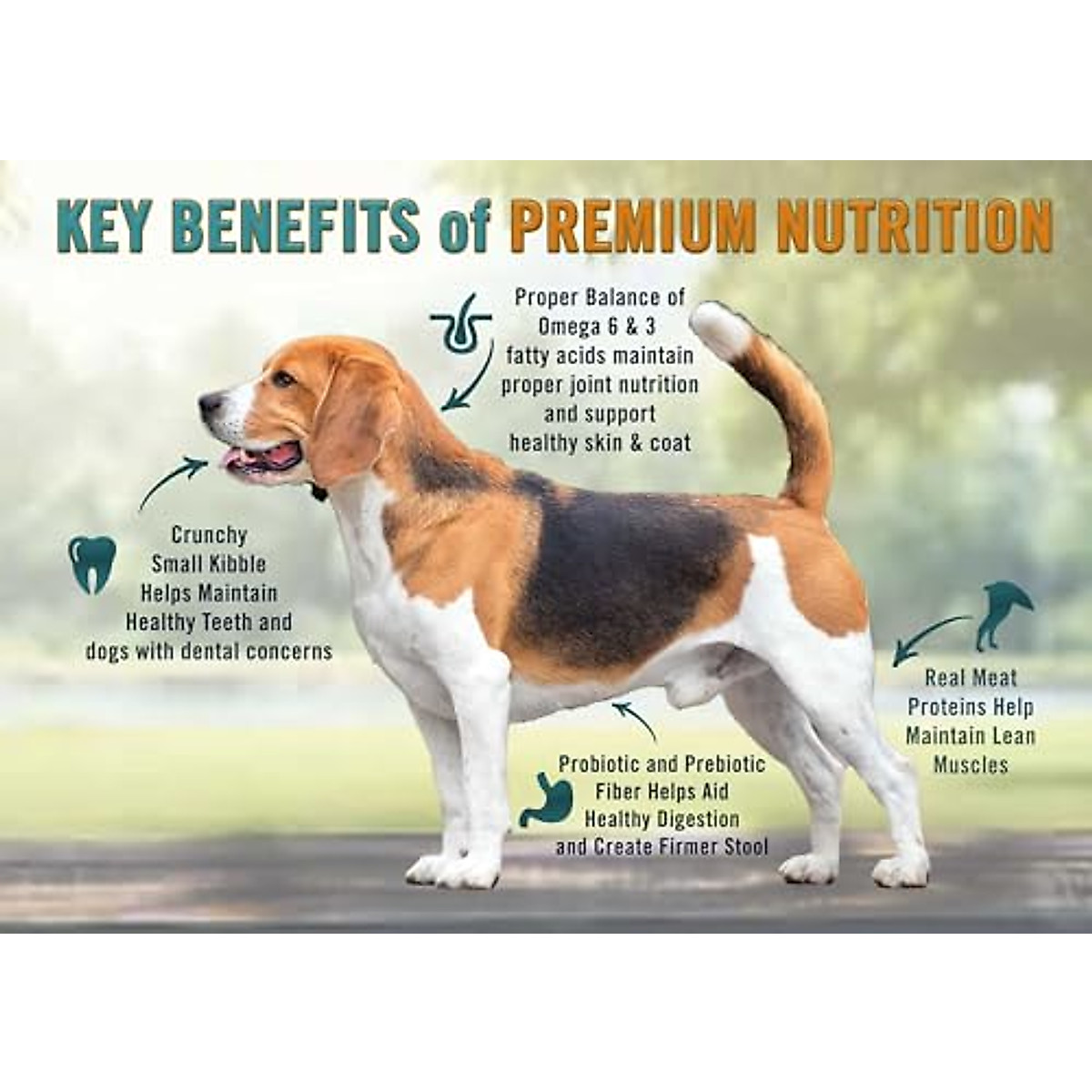 Chicken Soup For The Soul Classic Dry Small Bites Adult Dog Food, Chicken, Turkey & Brown Rice Recipe, 4.5 Pound Bag | Soy, Corn & Wheat Free, Small Breed Dog Food Made with Real Ingredients