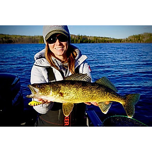 Northland Tackle Rippin' Shad Fishing Hook - Freshwater Fishing Lure for Bass, Walleye, Trout, Crappie, & Others - The Perfect Bait in Any Kit (Bubblegum Tiger, 2", 3/8 Oz)