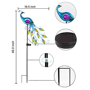 Stargarden Metal Solar Peacock Garden Stake, Garden Lights Solar Powered Waterproof Landscape Path Lights Outdoor Decorations for Pathway Patio Yard Lawn (Purple Ball)