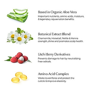 Eufora Nourish Urgent Repair Shampoo 8.45 Fl Oz