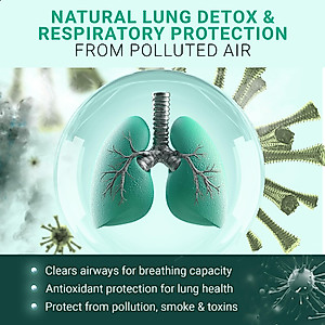 Vegan Liver Detox & Cleanse - NAC Supplement N-Acetyl Cysteine 600mg with Quercetin, Milk Thistle, Molybdenum & Selenium, N-Acetyl-Cysteine Capsules for Immune Support, Respiratory & Brain Health