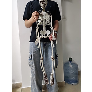36” Halloween Skeleton Full Body Life Like Skeleton Model with Movable Joints for Halloween Decoration