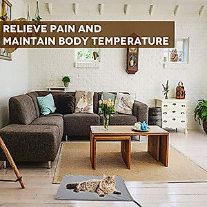 Pet Heating Pad for Cat Dog,Soft Electric Blanket Auto Temperature Control Waterproof Indoor,House Heater Animal Bed Warmer Heated Floor Mat,Whelping Supply for Pregnant New Born Pet