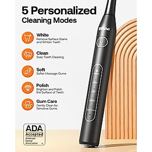 Bitvae Ultrasonic Electric Toothbrushes - Electric Toothbrush for Adults and Kids, American Dental Association Accepted, Rechargeable Travel Sonic Toothbrush with 8 Heads, Black D2