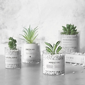 EaSinESS 11 Pcs Artificial Succulent Plants Unpotted Assorted Faux Succulent Fake Succulent Picks for Floral Arrangement Home Decoration