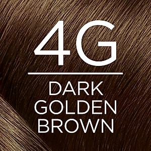 L'Oreal Paris Excellence Creme Permanent Triple Care Hair Color, 4G Dark Golden Brown, Gray Coverage For Up to 8 Weeks, All Hair Types, Pack of 1