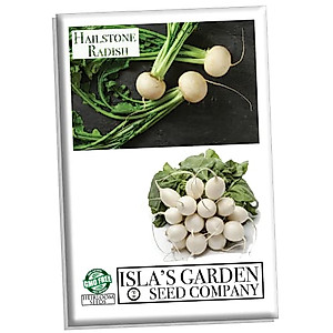 Hailstone Radish Seeds, 250+ Heirloom Seeds, (Isla's Garden Seeds), Non GMO Seeds, Botanical Name: Beta vulgaris
