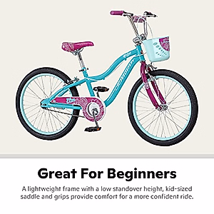 Schwinn Koen & Elm BMX Style Kids Bike in 20-Inch Wheels, Basket, Chain Guard & Kickstand Included, For Boys & Girls Age 7-13 Year Old, No Training Wheels, Teal