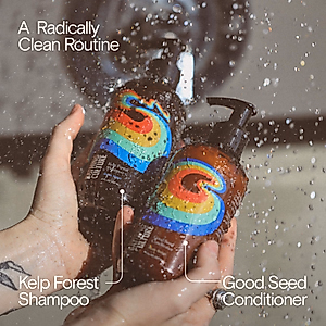 Bathing Culture - Organic Kelp Forest Shampoo | Natural, Biodegradable, Sustainable, Vegan Personal Care (8 fl oz | 237 ml)