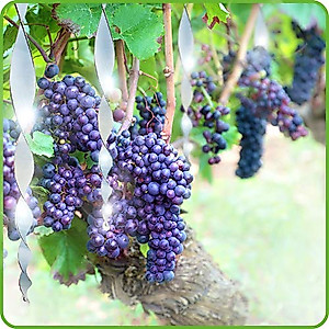 De-Bird Bird Scare Rods - Bird Repellent Woodpecker & Pigeon Deterrent Outdoor Spinning Repeller Device for Garden or Yard