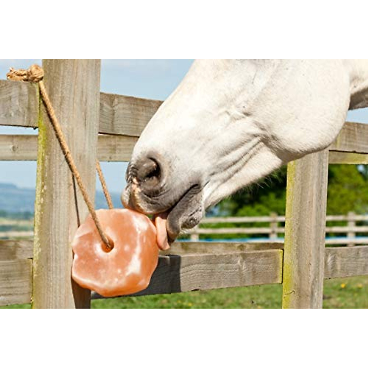 UMAID Himalayan Salt Lick 6 lbs On Rope for Horse, Deer, Goat, and Livestock Animals - Himalayan Salt Block 2 Pack