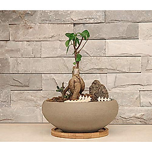 MUZHI Round Unglazed Ceramic Bonsai Pot with Bamboo Tray, Large Rough Pottery Succulent Planter with Drainage Hole 8 inch …