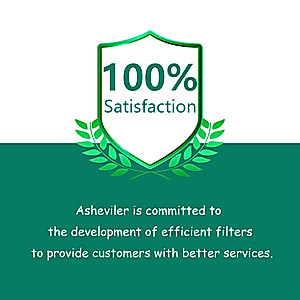 Asheviller Airmega 250/250S Filter Replacement, Compatible with Coway Airmega 250S and Coway Airmega 250 Air Purifier, Max 2 Green True HEPA and Active Carbon Filter, 2 Pack