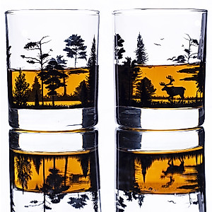 Whiskey Glasses set of 2 cocktail glasses bourbon glass Old Fashioned Glasses Gifts for holiday, Men,11 ounce