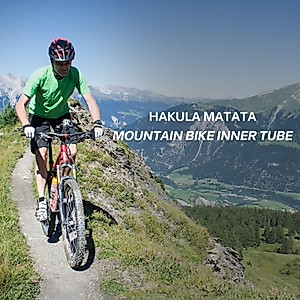 HAKULA MATATA 4 Pcs 29 Inch x 1.75-2.30 Bike Tube with AV 35 Valve Stem, MTB Bicycle Butyl Inner Tube Replacement for Mountain Bikes, 4Packs (Schrader Valve 35mm)
