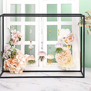 Patelai 6 Pieces Hanging Sea Urchin Shell Pot Decorative Air Plant Holder Cute Mini Shell Succulent Display Container for Boho Home Indoor Outdoor Wall Garden Decoration