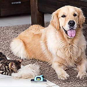 DakPets Pet Grooming Brush Effectively Reduces Shedding by up to 95% Professional Deshedding Tool for Dogs and Cats