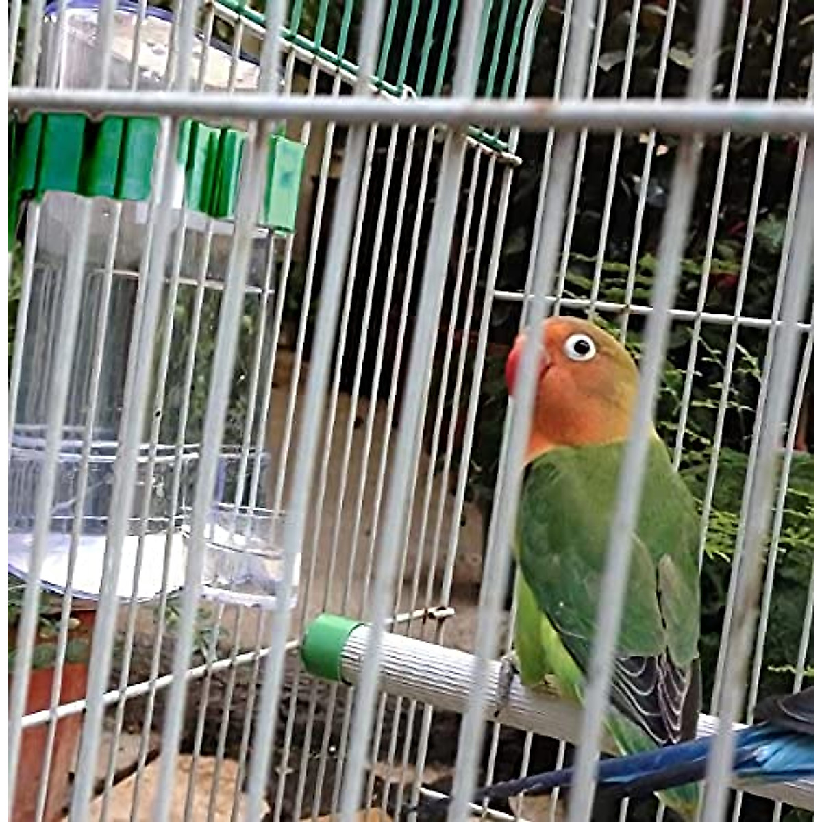 Automatic Bird Waterer Feeder,Bird Water Dispenser for Cage,2PCS No Mess Bird Feeder Parakeet Waterer Cockatiel Cage Accessories