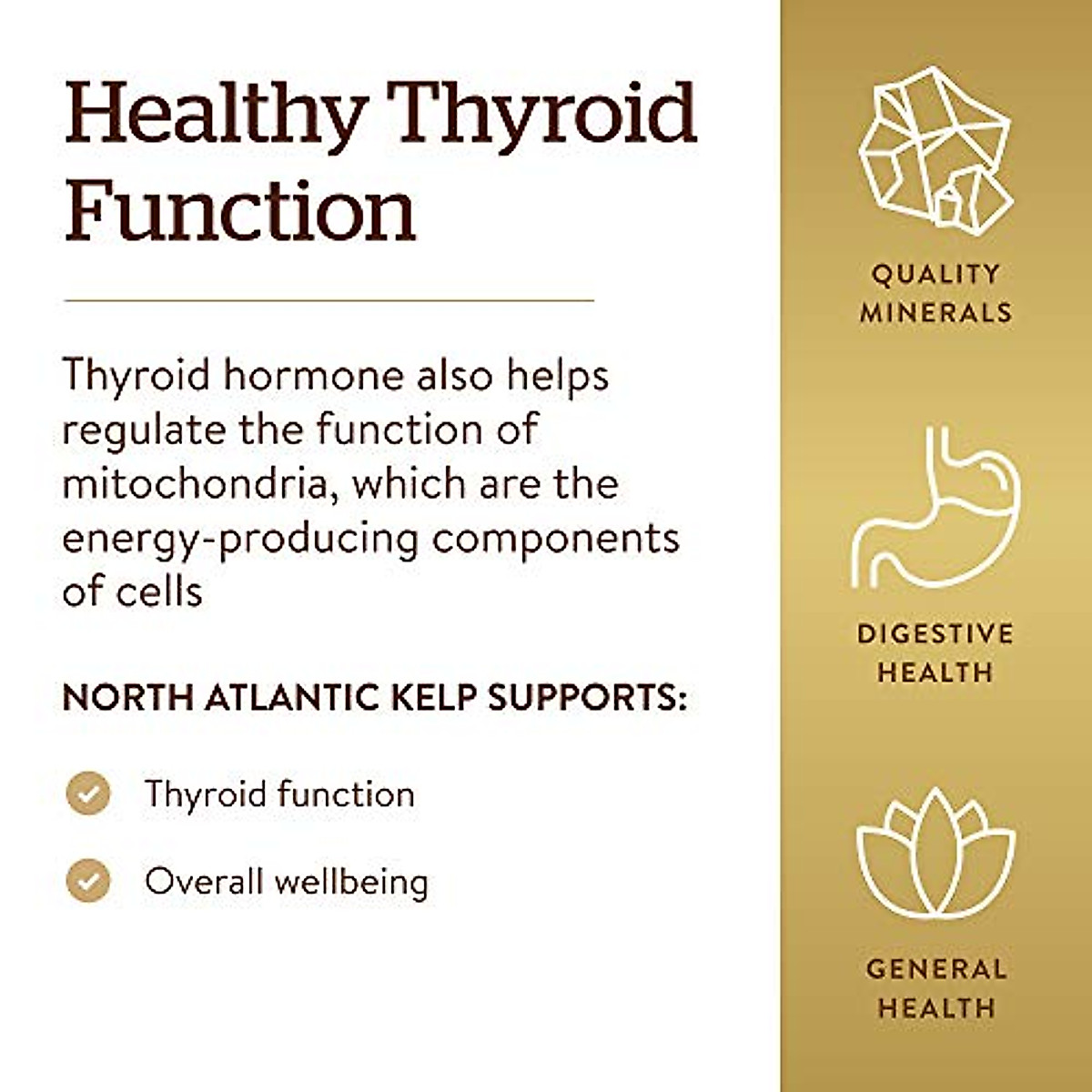 Solgar North Atlantic Kelp, 250 Tablets - Natural Source of Iodine - Supports Healthy Thyroid Function - Gluten Free, Dairy Free, Kosher - 250 Servings