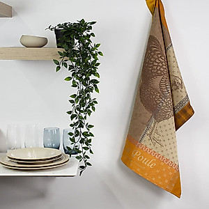 Garnier-Thiebaut La Pole Rousse French Jacquard Kitchen Towel 22"x30", Cotton