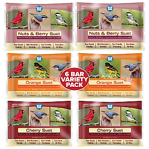 Blue Seal Berry Blend Suet Cakes for Wild Birds - No Mess Suet Feed, Food for Woodpeckers, Cardinals, Siskins, Sparrows & More - 11oz Suet Feeder, Bird Seed Cakes (Variety Pack of 6)