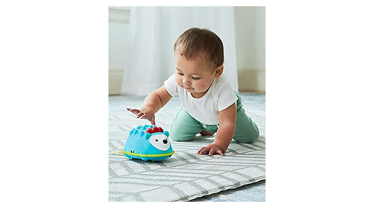 Skip Hop Hedgehog Crawl Toy for Baby Development & Play