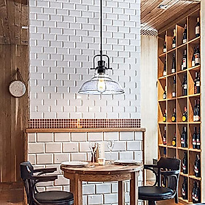 Zlepmlla Black Industrial Pendant Light Farmhouse 1-Light with Adjustable Cord, Clear Bubble Glass Shade,Rectangle Cute Hanging Lights for Hallway, Kitchen Island, Dinning Room