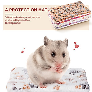 4 Pack Ultra Soft Dog Cat Bed Mat with Cute Prints Reversible Fleece Dog Crate Kennel Pad Cozy Washable Thickened Hamster Guinea Pig Bed Pet Bed Mat for Small Animals (Vivid Color,13 x 10 Inches)