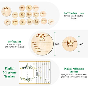 DECLAN & DELANEY Monthly Baby Milestone Cards | 16 Wooden Milestone Discs, Includes Boy/Girl Birth Announcement Sign | Baby Monthly Milestone Props Perfect for Newborn to Age 1 | Baby Shower/Gift Set