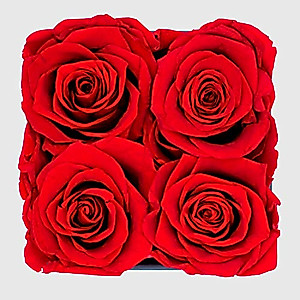Chloe's Graceful Fleurs | Real Roses that Lasts for Years | Fresh Flowers for Delivery Prime Birthday | Birthday Gifts for Women | Preserved Roses in a Box | Forever Rose Box | Mothers Day Gifts (Red)