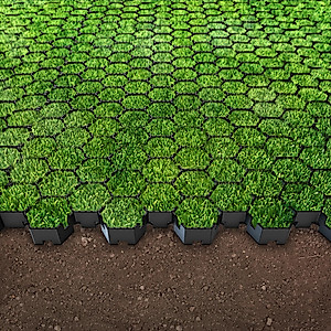 Vodaland Permeable Pavers - HexPave Grass & Gravel Permeable Paver System - 100% Recycled PPE Plastic Pavers, Handles 27,000 lbs, 1" Depth, 65 s.f / 22 Units
