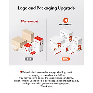 Silent Cat Water Fountain, HomeRunPet Pet Fountain with Wireless-Pump, Small-Dog Water Dispenser, Dual Mode, Quick Assembly & Easy-Clean, Filters Included, 68 oz/2L