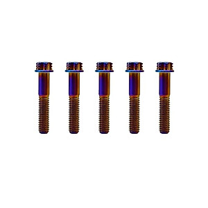 RISON Titanium Bolts M10*1.25 * 35 Torx Titanium Bolts for Motorcycles Hex Head Dual Drive Burnt Blue Titanium Flange Bolt Pack of 5