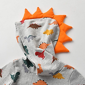 Toddler Infant Baby Boy Clothes Colored Dinosaurs Long Sleeve Hoodie Tops Sweatsuit Pants Outfit Set (12-18 Months)