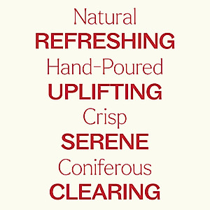 Plant Therapy Candy Cane Naturally Scented Candle 9 oz Hand-Poured Coconut & Soy Wax Blend, Crisp & Cool Natural Scent, Chic Frosted White Jar with Wooden Lid