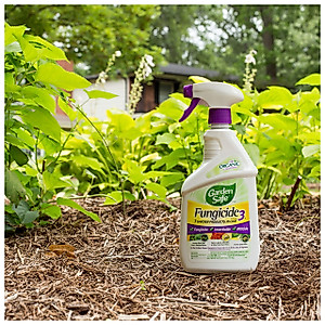 Garden Safe Fungicide, Prevents Fungal Diseases, Controls Black Spot, Rust and Powdery Mildew, Aphids, Whiteflies, Spider Mites, (RTU Spray) 24 fl Ounce