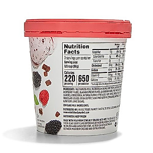 365 by Whole Foods Market, Ice Cream Raspberry Chocolate Chip, 16 Ounce