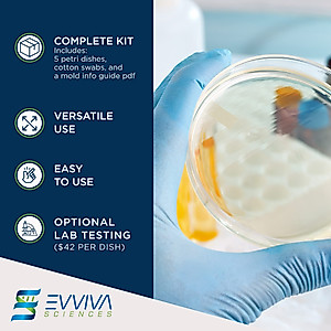 Evviva Sciences Mold Test Kit for Home - 5 Simple Detection Tests w/Optional Lab Analysis (Extra Fee), Test HVAC System, Home Surfaces, & Indoor Air Quality - Downloadable Mold Information Guide
