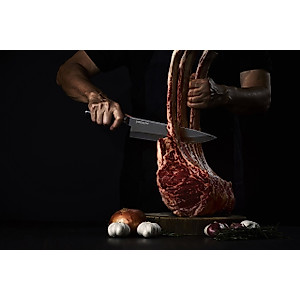 Kamikoto - Senshi Dual Knife Set with Wooden Display Stand