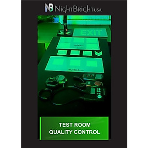 Photoluminescent Exit Sign Green Framed Flag/Ceiling Mount Double Sided. UL 924 Code Approved.