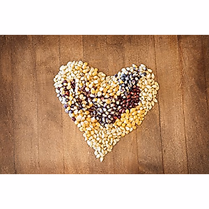 Amish Country Popcorn - 10 (1 Lb Bag) Variety Gift Set Bundle (Red, Blue, Medium White, Midnight Blue, Purple, Ladyfinger, Baby White, Rainbow, Medium Yellow, and Mushroom)