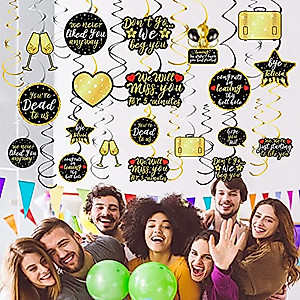 Farewell Party Decorations Supplies Kit -We Will Miss You Banner, Triangle Flag, 6Pcs Star Swirl, 6Pcs Pom,30Pcs Hanging Swirls- Great for Retirement Farewell Going Away Job Change Party Decorations