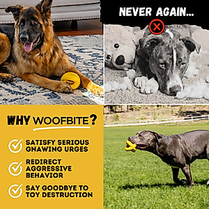 WoofBite Indestructible Ring Ball - Lifetime Replacement - for Aggressive Chewers, Medium Large Breed - Non-Toxic Natural Rubber Dog Toys - Butter Scent, Yellow (Highly Visible Color for Dogs) - 4.5”
