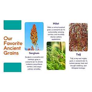 Snacktivist Foods - Gluten-Free, Vegan, Pancake & Waffle Mix, Non-GMO, Egg-Free, Dairy-Free, 23 Ounce