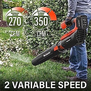 MAXLANDER Cordless Leaf Blower, 20V 350CFM Battery Powered Leaf Blowers for Lawn Care, Electric Lightweight Leaf Blower with 2-Speed Dial for Leaf/Snow/Dust Blowing (4.0Ah Battery & Charger Included)