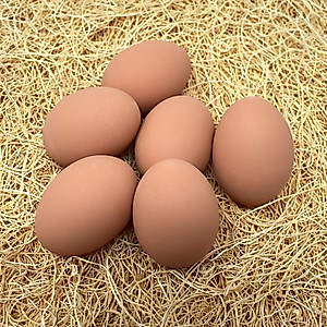 Eggcetera Ceramic Nest Eggs 6-Pack (Brown)