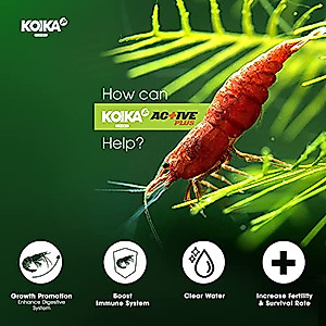 V-Active Plus Specialized Probiotics for Ornamental Shrimp by KOIKA | Environmental Improvement & Boost Immune System, Increase Fertility for Ornamental Shrimp(V-Active Plus, 3.55 fl oz/ 105ml)