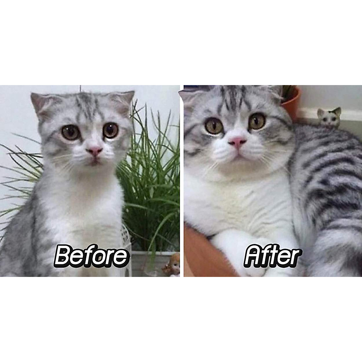 X2 Pcs(100ml) Multivitamin Daily Essential Cat Food Vitamins & Minerals Omega3, Helps Support Health, More Fat, Digestion, Skin, Coat, Allergy Immune Supplement Nourished Blood & Eye