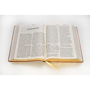 NLT Super Giant Print Bible, Filament Enabled (LeatherLike, Blush Floral, Red Letter): DaySpring Signature Collection